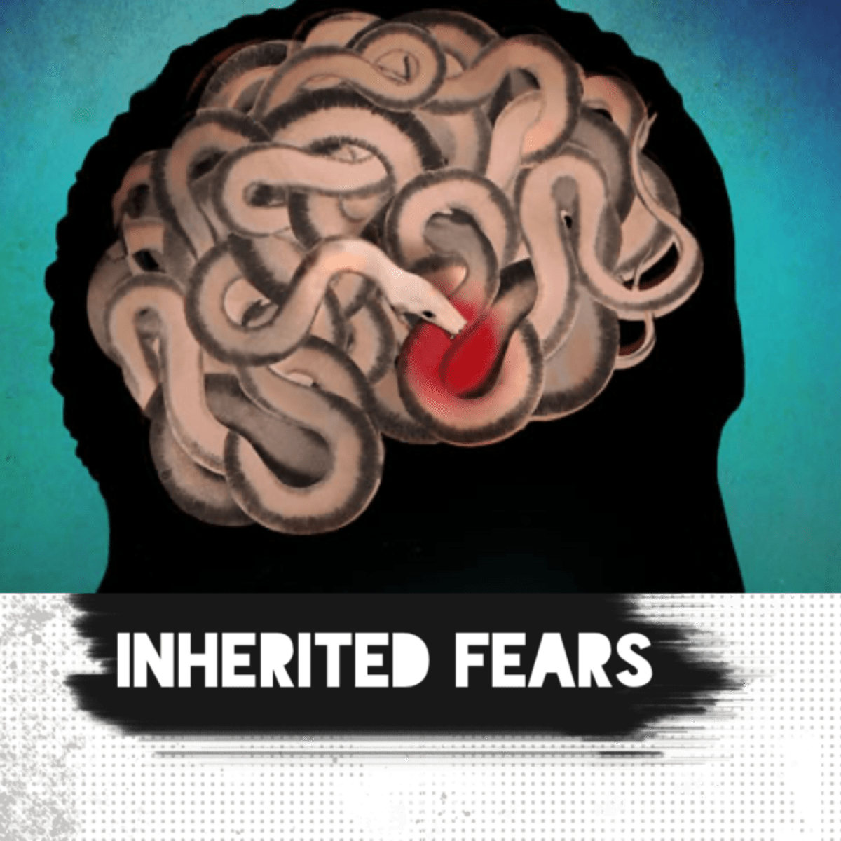 Inherited Fears III: The Fear of Poverty. – Amando La Vida